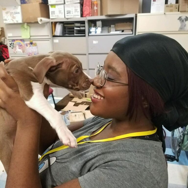 Impact Partners Archive - Spring Point Partners